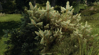 Sticks - Reign of Kings Wiki