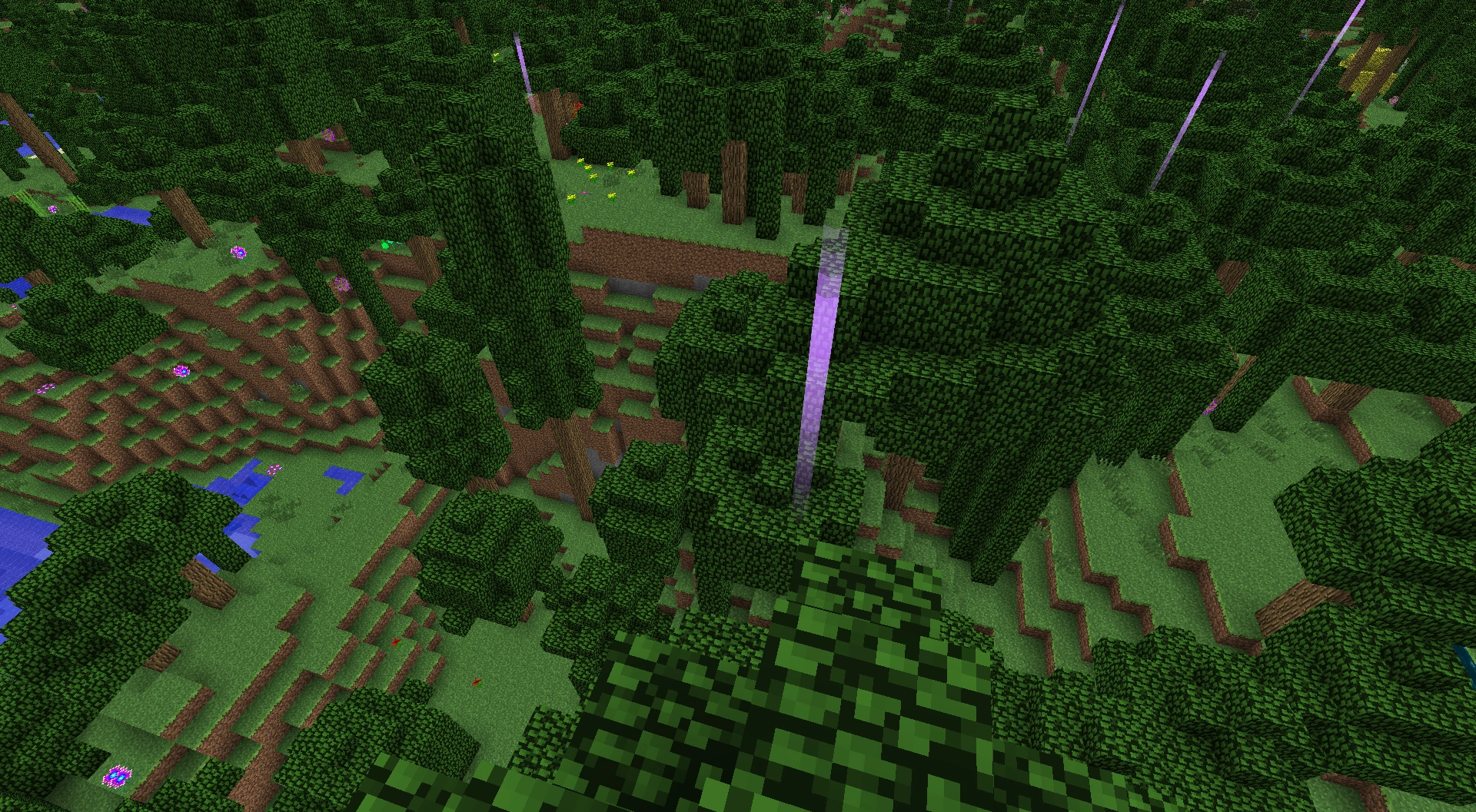 Minecraft Ender Forest