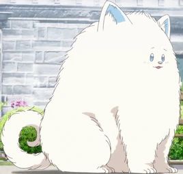 Shiro | Tensei Shitara Dai Nana Ōji Wiki | Fandom