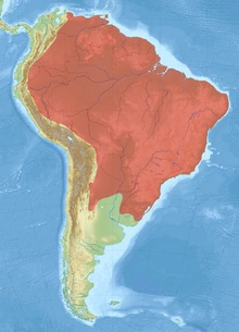 Oso Melero | Wiki Reino Animalia | Fandom