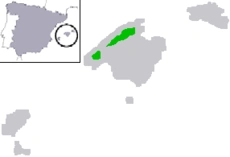 Sapillo Balear | Wiki Reino Animalia | Fandom