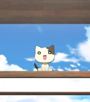 Ero-Cat | Re-Kan! Wiki | Fandom