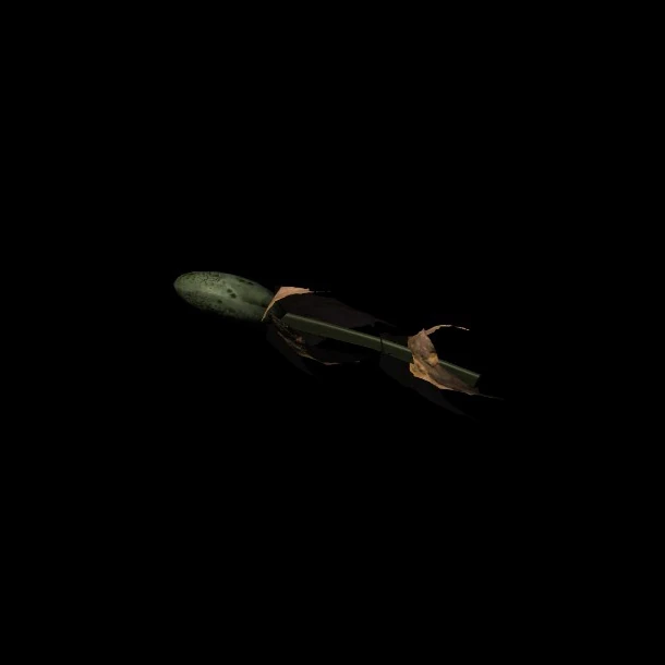 Bomb Flower Buds | Relics of Hyrule Wikia | Fandom
