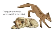 Famous pangram and placeholder text: The Quick Brown Fox and Lorem ...