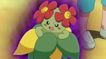 Hula, Lilo's Bellossom | Remaster Productions Wiki | Fandom