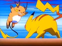 Category:Episodes in which Ash loses a Gym Battle | Remaster ...