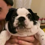 Juno Wolf | Remi Wolf Wiki | Fandom