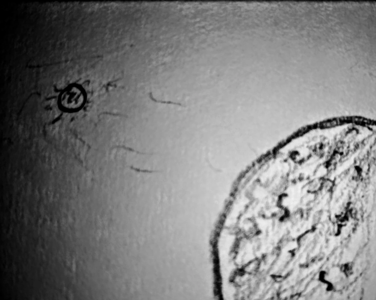 Astyages | Remipedia Wiki | Fandom