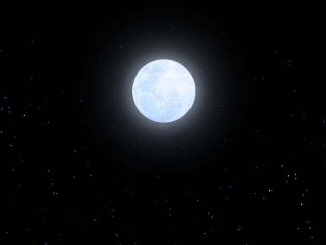 Moon (Sonic X) | Remix Favorite Show and Game Wiki | Fandom