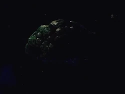 Reida | Remix Favorite Show and Game Wiki | Fandom