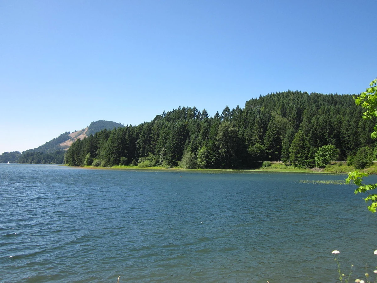 Dorena Reservoir | Remix Favorite Show and Game Wiki | Fandom