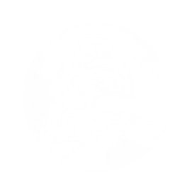 Siphoner - Remnant: From the Ashes Wiki