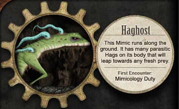 Haghost | Remnants of Skystone Wiki | Fandom