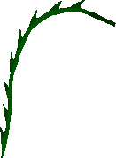 Vine whip | Remote Realms Wiki | Fandom