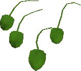 Hops | Remote Realms Wiki | Fandom