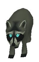 Raccoon | Remote Realms Wiki | Fandom