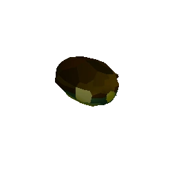 Turtle shell | Remote Realms Wiki | Fandom