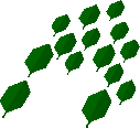 Magic leaves | Remote Realms Wiki | Fandom