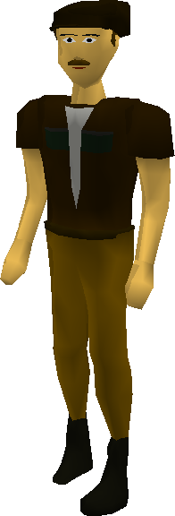Town Mayor Remote Realms Wiki Fandom