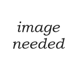 Money Game, Part 3 | Ren Wiki | Fandom