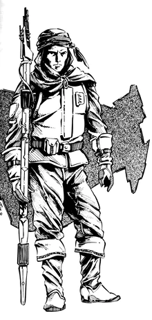 Legionnaires | TOG ACADEMY: the Renegade Legion Wiki | Fandom