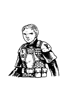Legionnaires | TOG ACADEMY: the Renegade Legion Wiki | Fandom