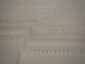 Ceiling Defects | Renopedia Wiki | Fandom