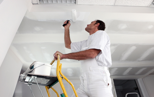 Ceiling Maintenance | Renopedia Wiki | Fandom