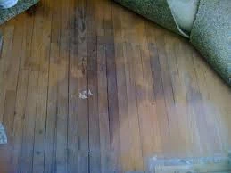 Wood Flooring Defects | Renopedia Wiki | Fandom