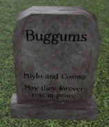 Graveyard | Rensselaer County Wiki | Fandom