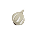 Garlic | Replay the Spire Wiki | Fandom