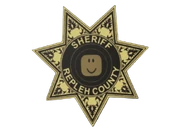 Repleh County Sheriff Office | Repleh County Archives Wiki | Fandom