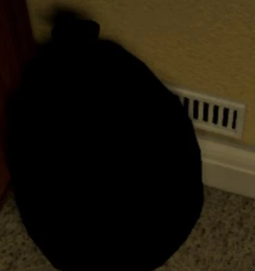Trash Bag | Repleh County Archives Wiki | Fandom