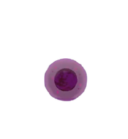 Rugrat | Repo Wiki | Fandom