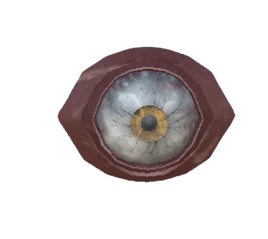 Peeper | Repo Wiki | Fandom