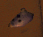 Category:Valuables | R.E.P.O Wiki | Fandom