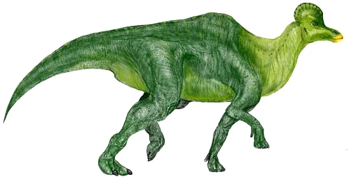 Corythosaurus | Reptiles Wiki | Fandom