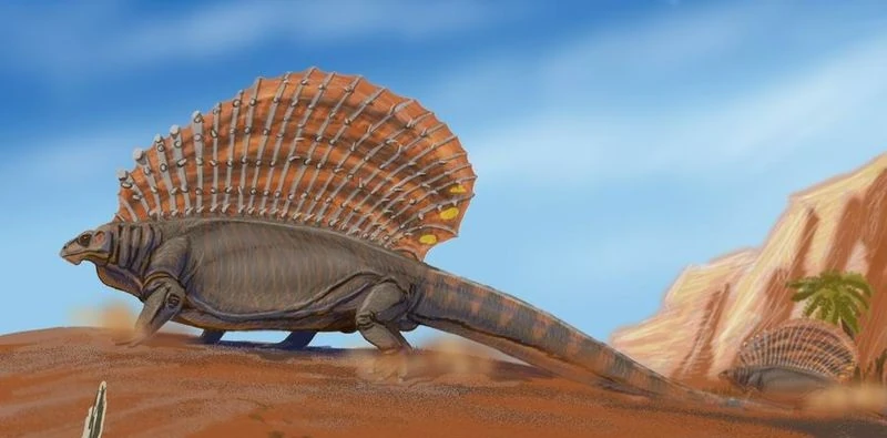 Edaphosaurus | Reptiles Wiki | Fandom
