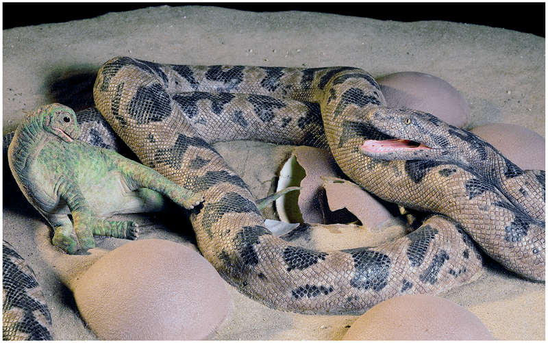 Sanajeh | Reptiles Wiki | Fandom