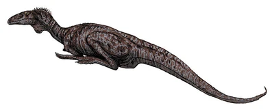 Zupaysaurus | Reptiles Wiki | Fandom