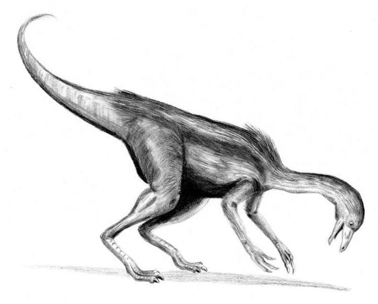 Ornithomimus | Reptiles Wiki | Fandom