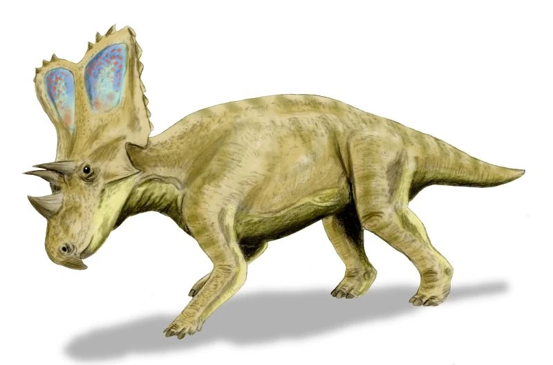 Chasmosaurus | Reptiles Wiki | Fandom