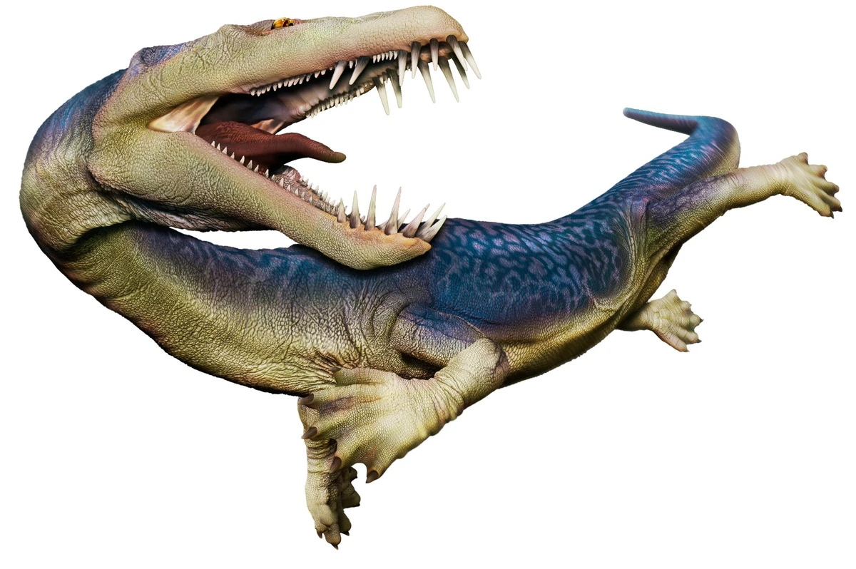 Nothosaurus | Reptiles Wiki | Fandom