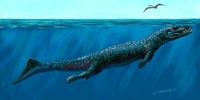 Dakosaurus | Reptiles Wiki | Fandom
