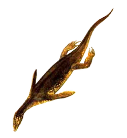 Hanosaurus | Reptipedia | Fandom