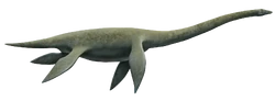 Plesiosaur | Reptipedia | Fandom