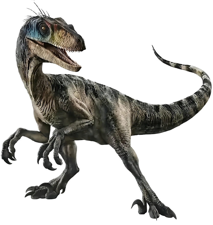 Velociraptor | Reptilian Doomsday Wiki | Fandom