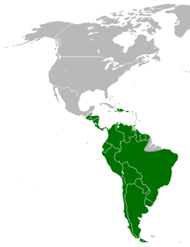 Copetón | Wiki Colombia | Fandom