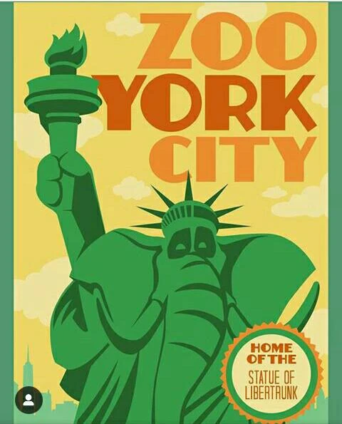 Zoo York | Wiki Republica Austral | Fandom