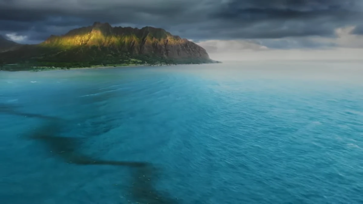 Hawaii | Rescue: HI-Surf Wiki | Fandom